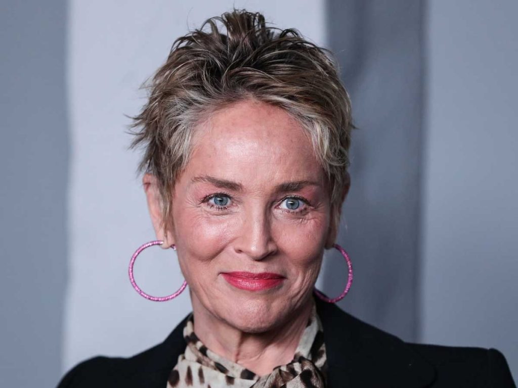 “How is She 65?”: Sharon Stone’s Bikini Photo Leaves Fans Astonished ...